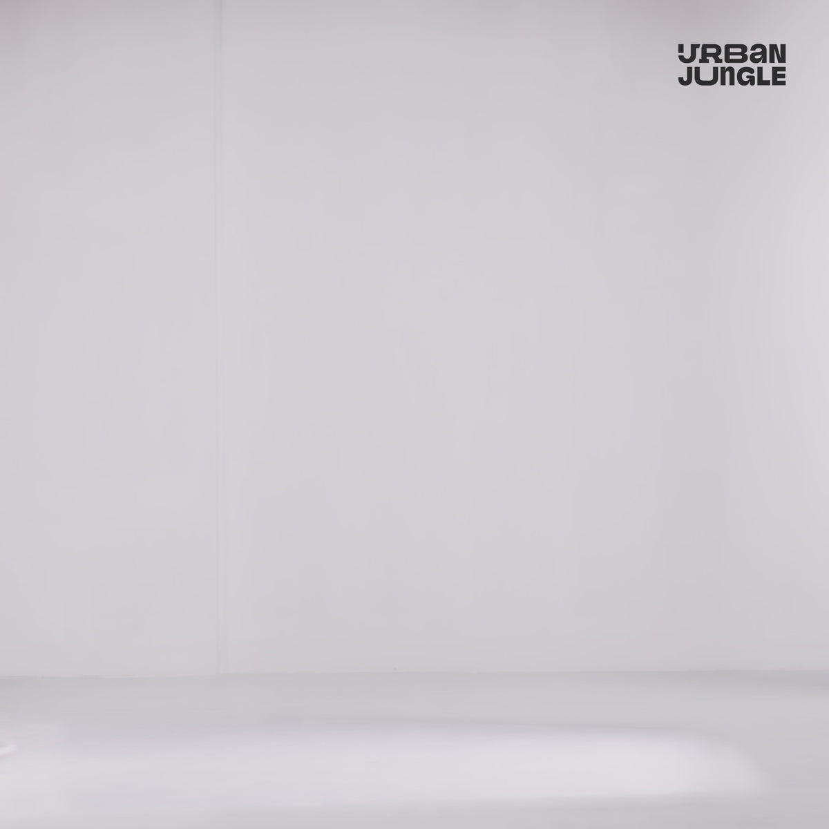 Roam Briefpack - Black